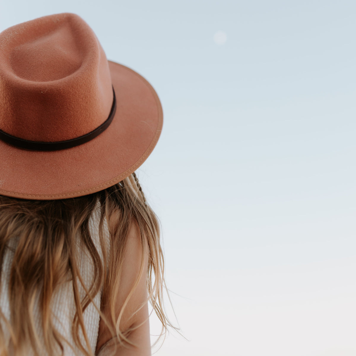 Mini Rust Fedora – SHAYD